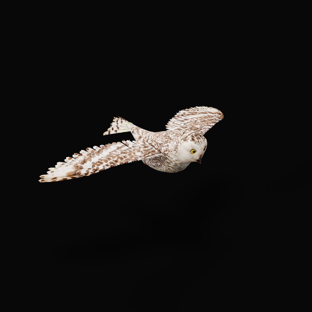 3D Snowy Polar White Owl Model - TurboSquid 2307351