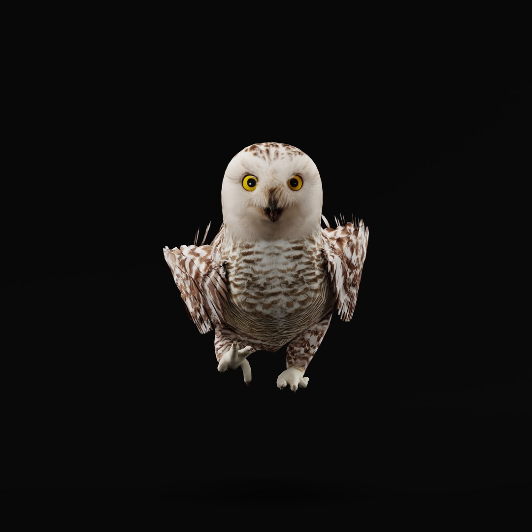 3D Snowy Polar White Owl Model - TurboSquid 2307351