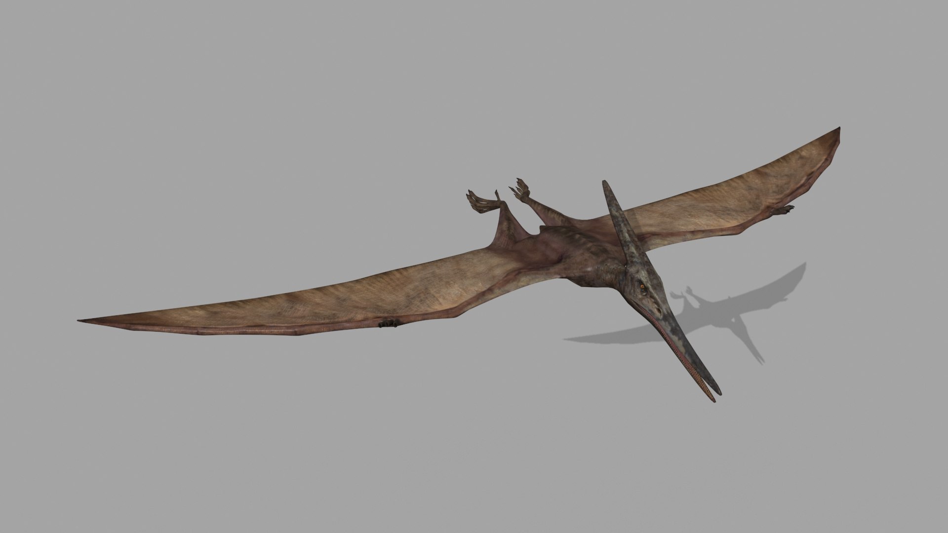 Pterosaur Forever 8K - 3D model - TurboSquid 2079121