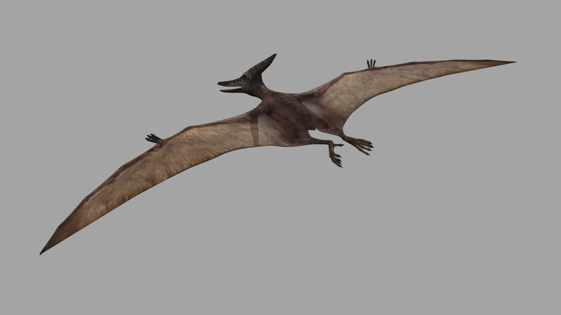 Pterosaur Forever 8K - 3D model - TurboSquid 2079121