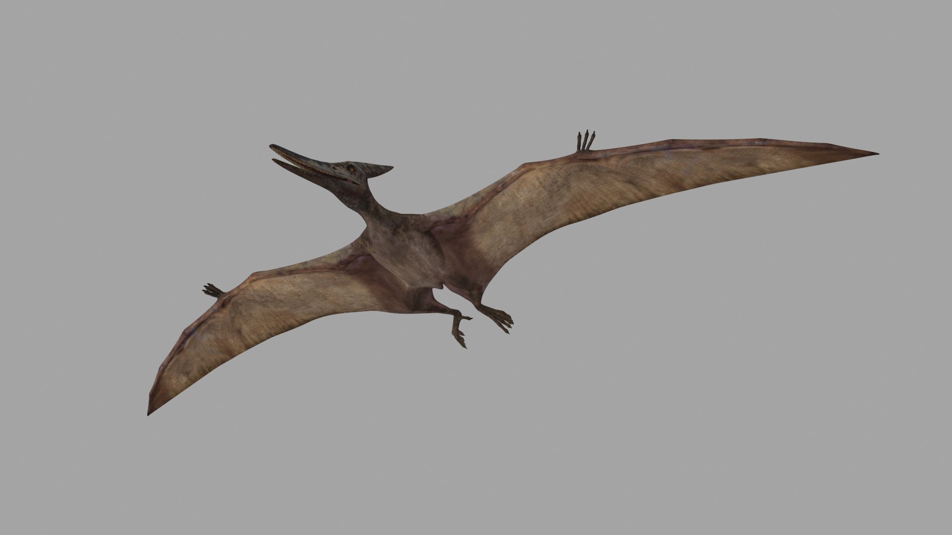 Pterosaur Forever 8K - 3D model - TurboSquid 2079121