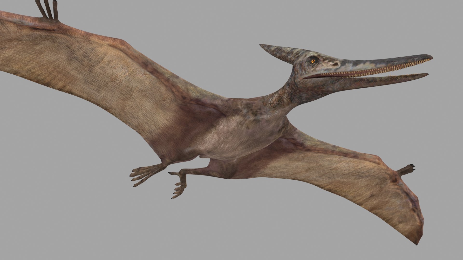 Pterosaur Forever 8K - 3D model - TurboSquid 2079121
