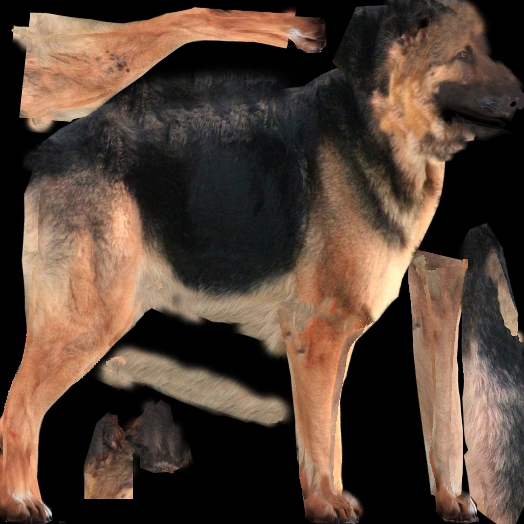 3d model dog german shepherd