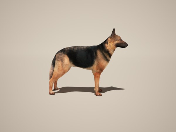 3d model dog german shepherd