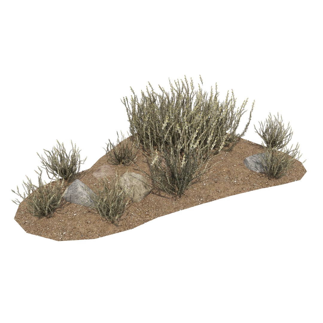Mexican Sagewort Bushes 3D Model - TurboSquid 2060462