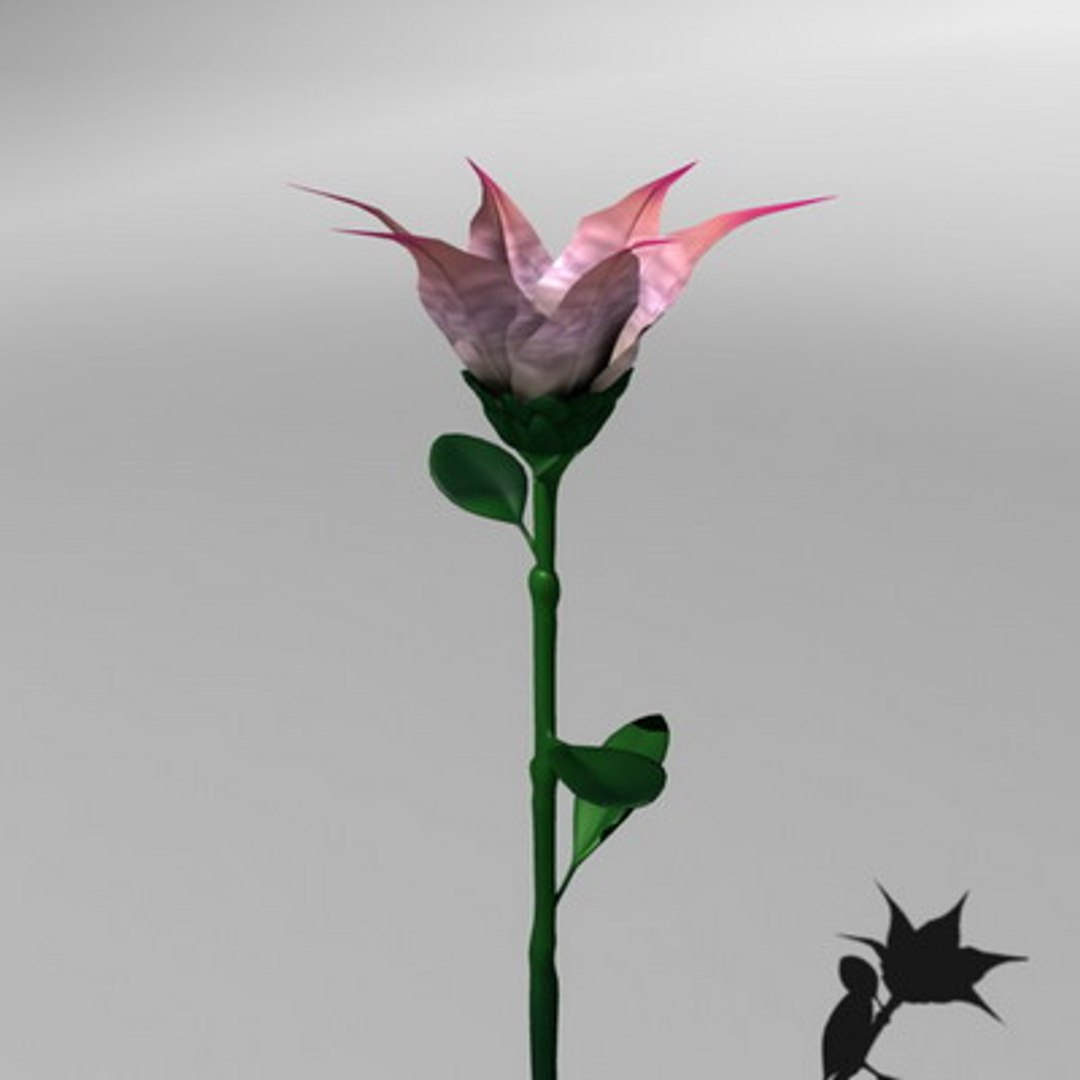 maya flowers
