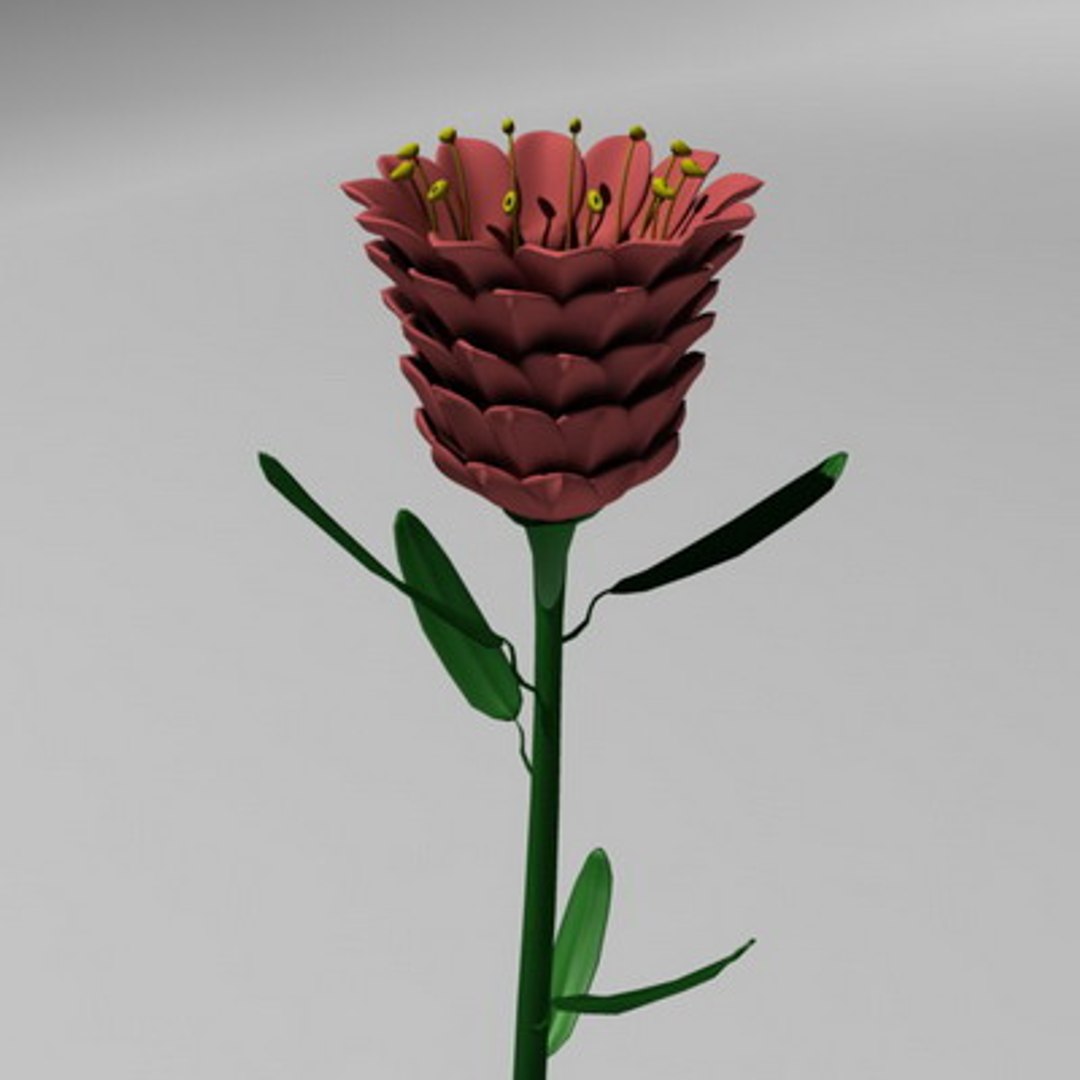 maya flowers