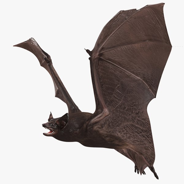 Bat 3D Models for Download | TurboSquid