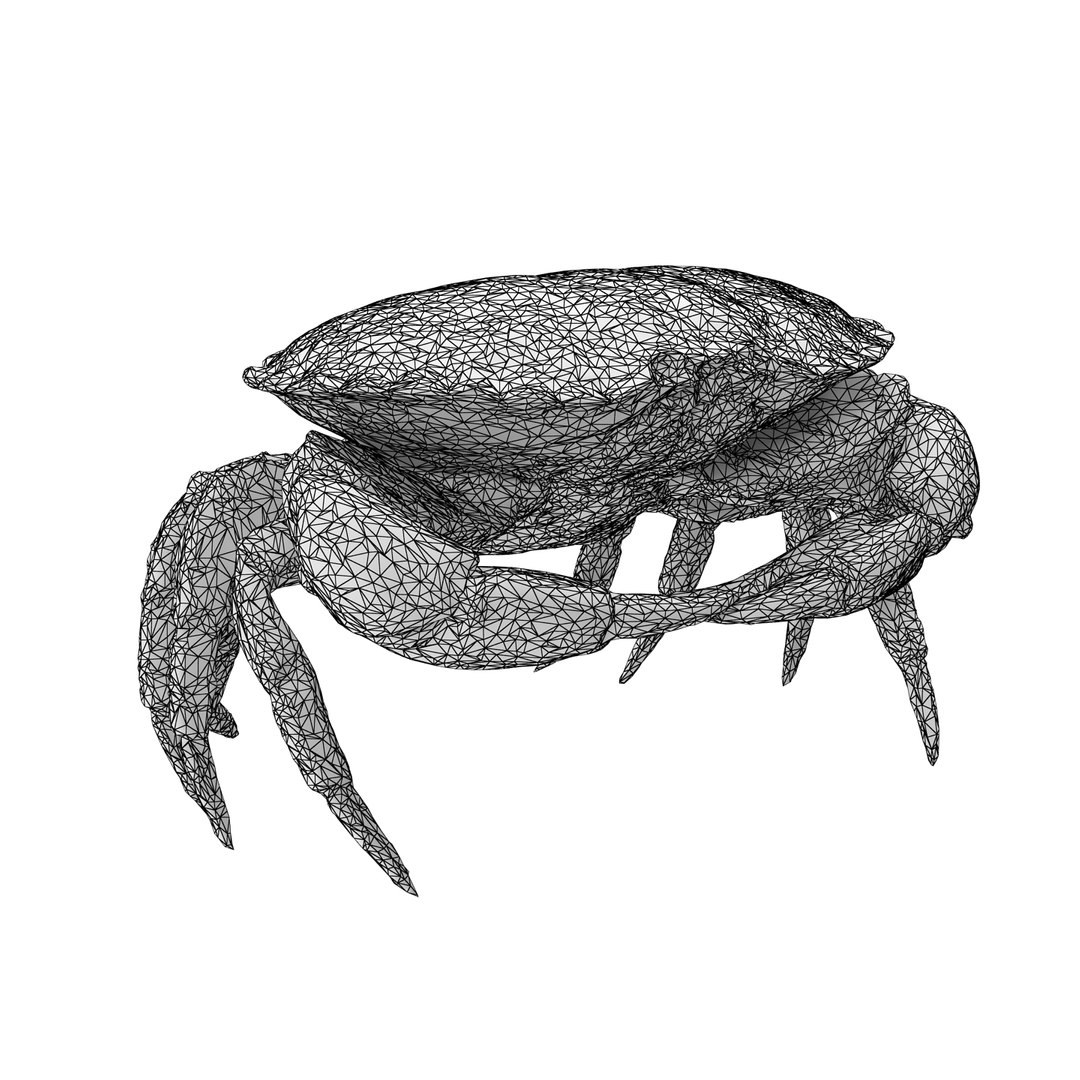 Rigged Crab 3d Model