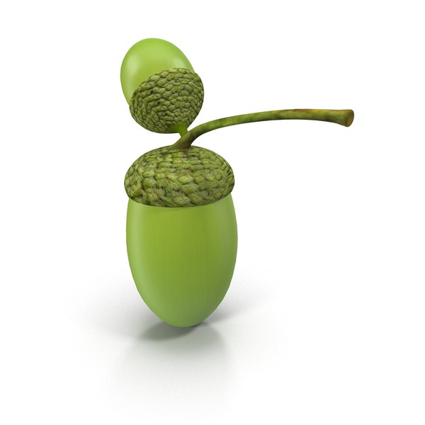 3d acorn