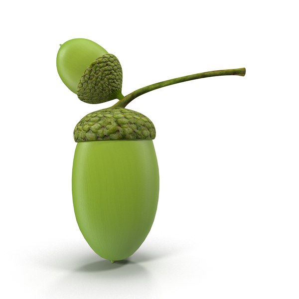 3d acorn