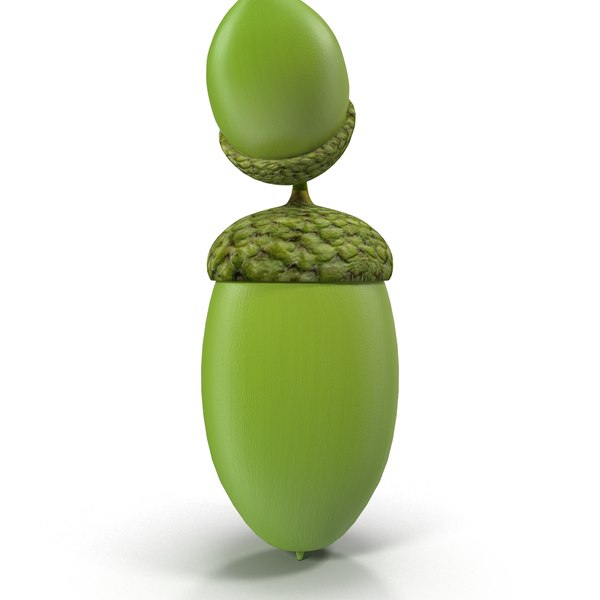 3d acorn