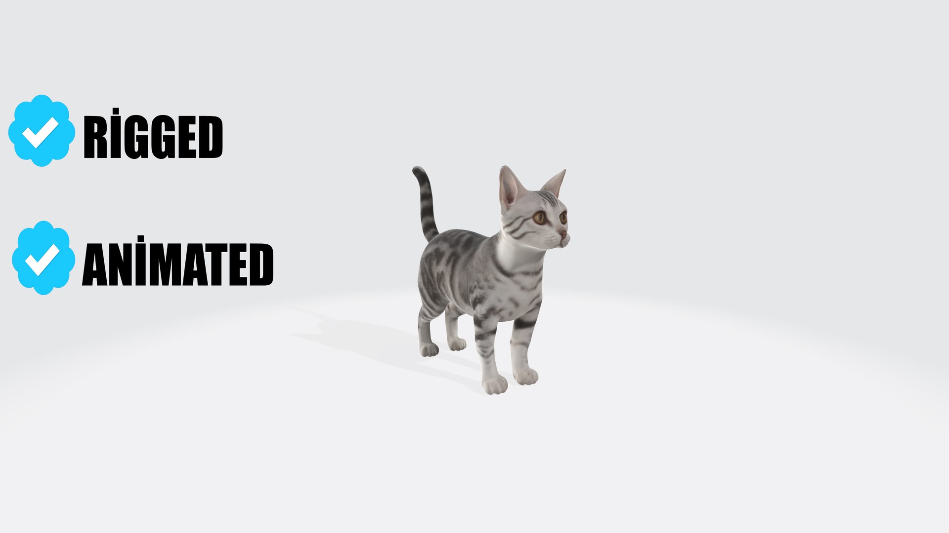 3D American Shorthair Cat Animated And Rigged Model - TurboSquid 2277079