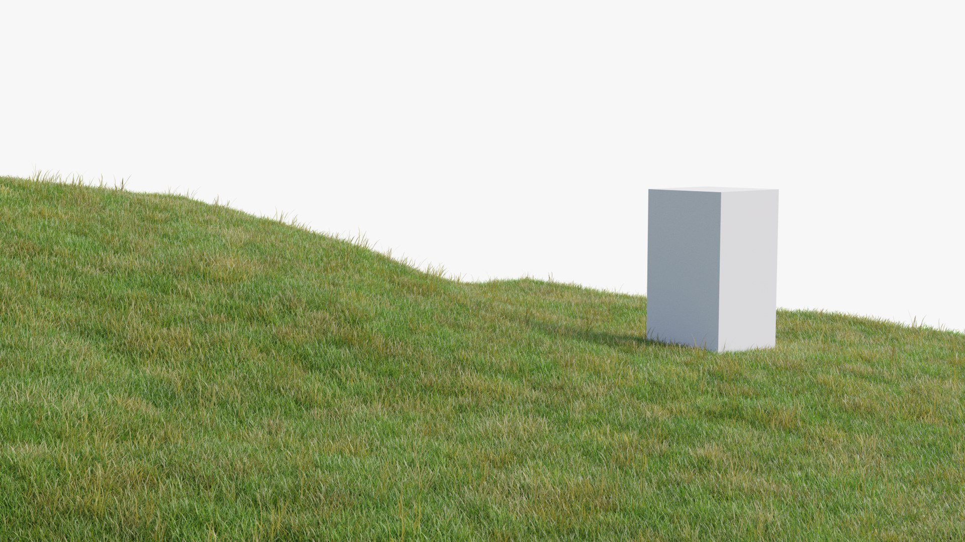 Grass Field 3D Model - TurboSquid 1925688