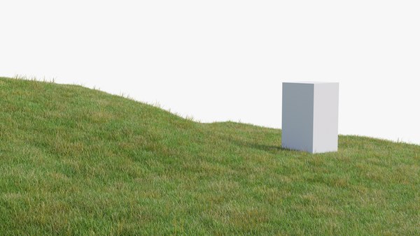 Grass Field 3D model - TurboSquid 1925688