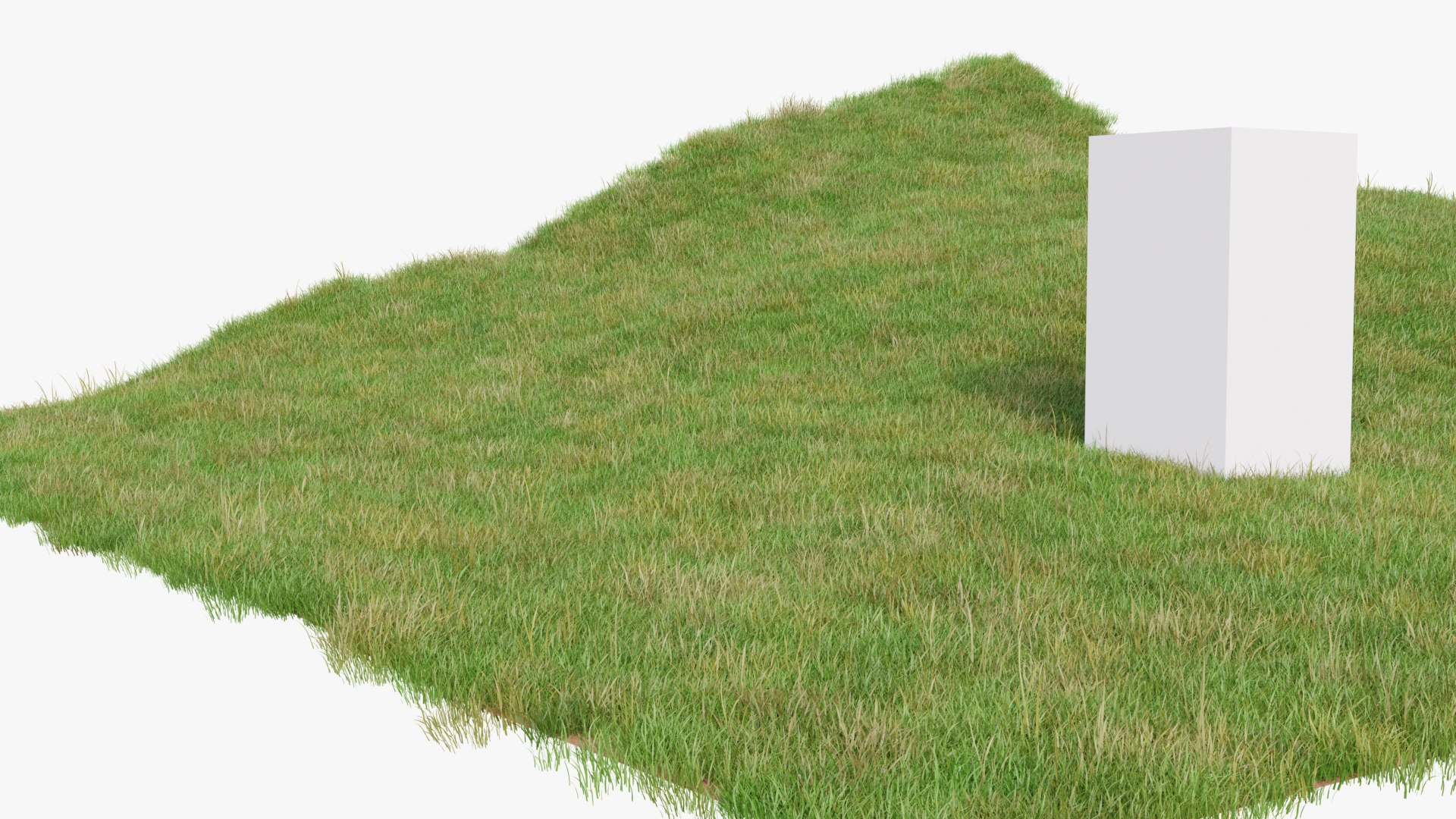 Grass Field 3D Model - TurboSquid 1925688