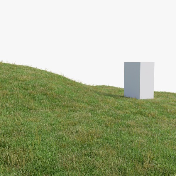 Grass Field 3D 모델 - TurboSquid 1925688