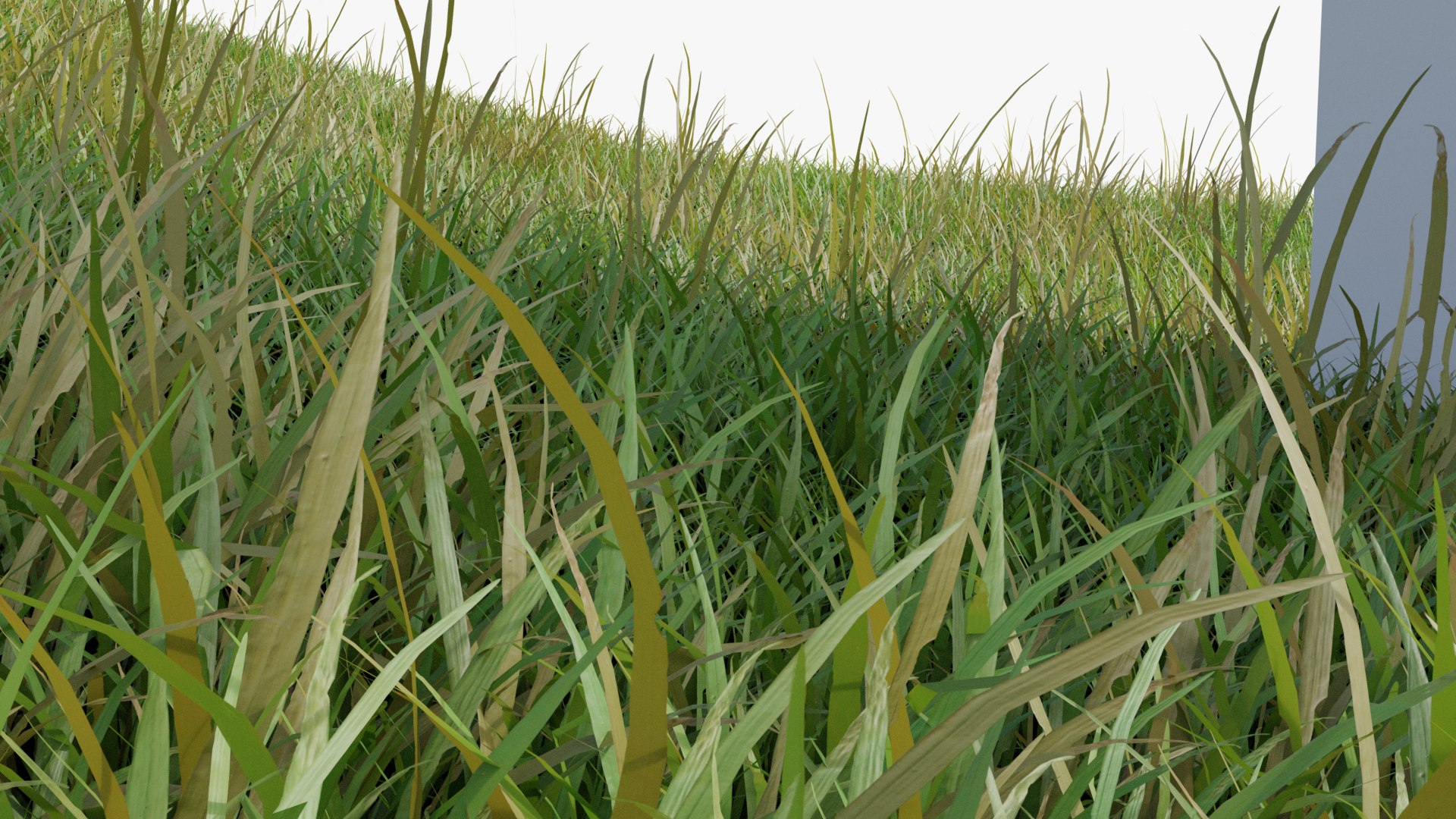 Grass Field 3D Model - TurboSquid 1925688