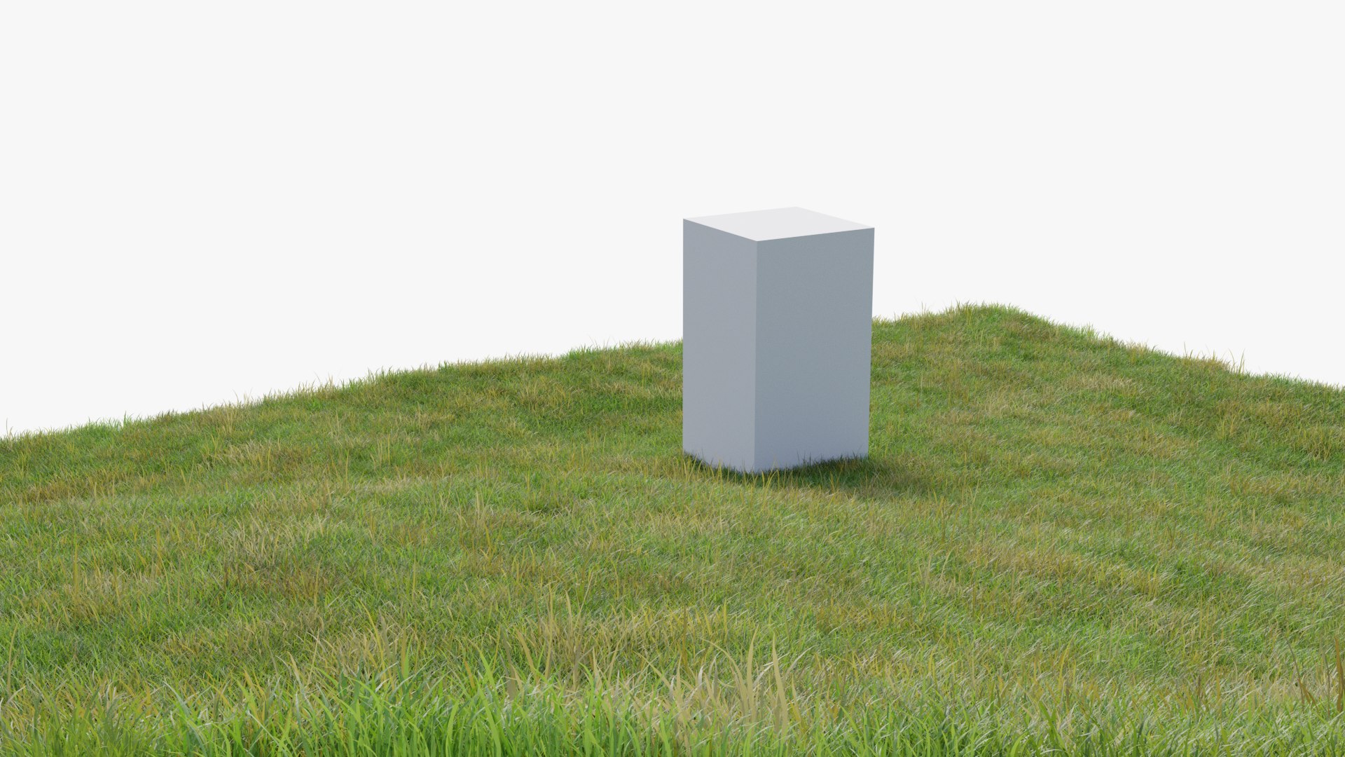 Grass Field 3D Model - TurboSquid 1925688