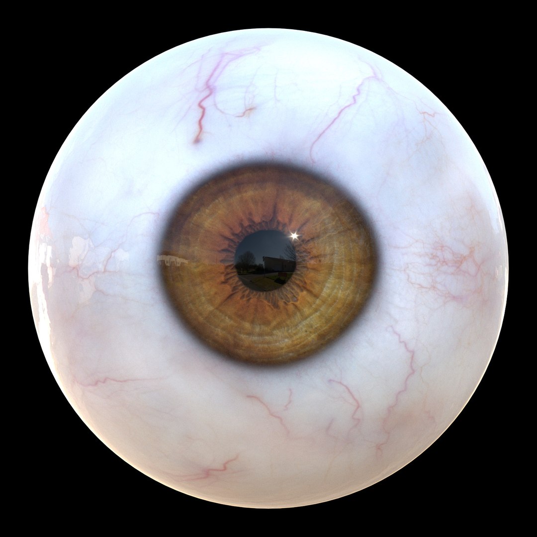 3D iris anatomy eye pupil model - TurboSquid 1324368