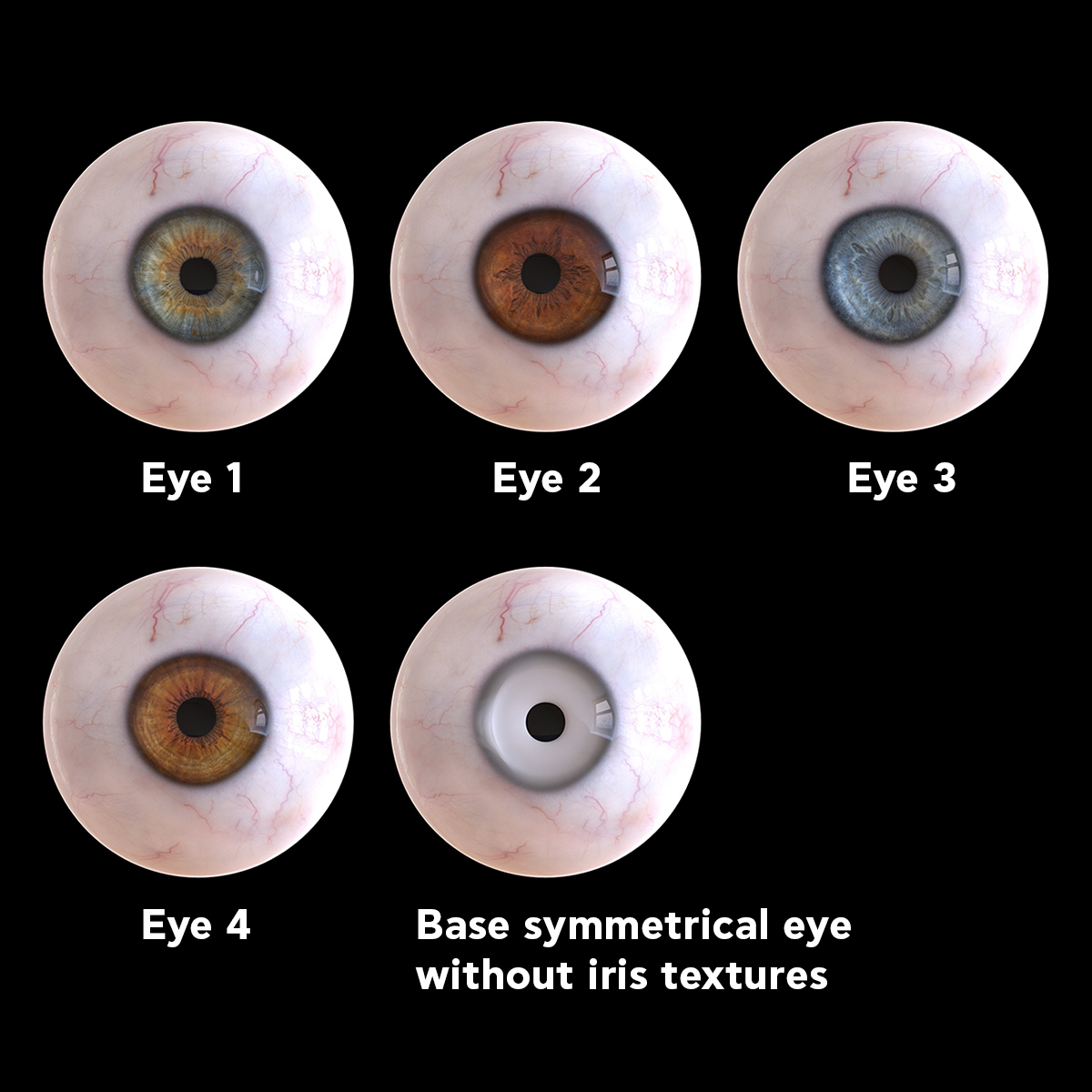 3D iris anatomy eye pupil model - TurboSquid 1324368
