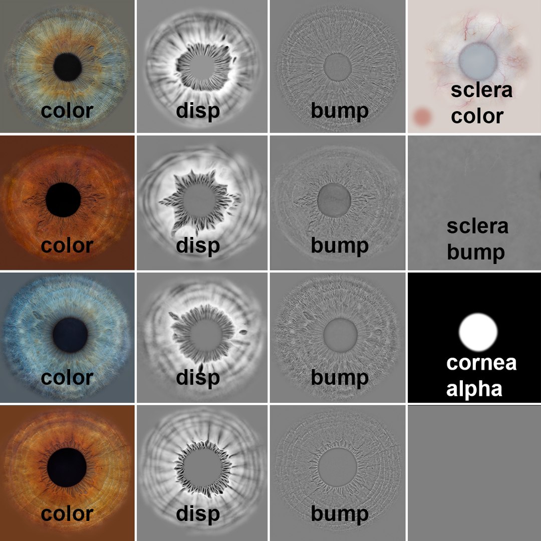 3D iris anatomy eye pupil model - TurboSquid 1324368