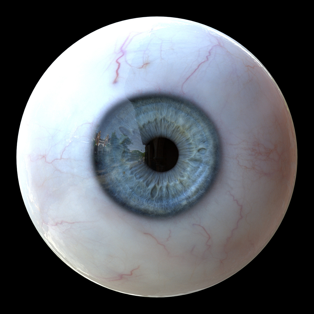 3D iris anatomy eye pupil model - TurboSquid 1324368