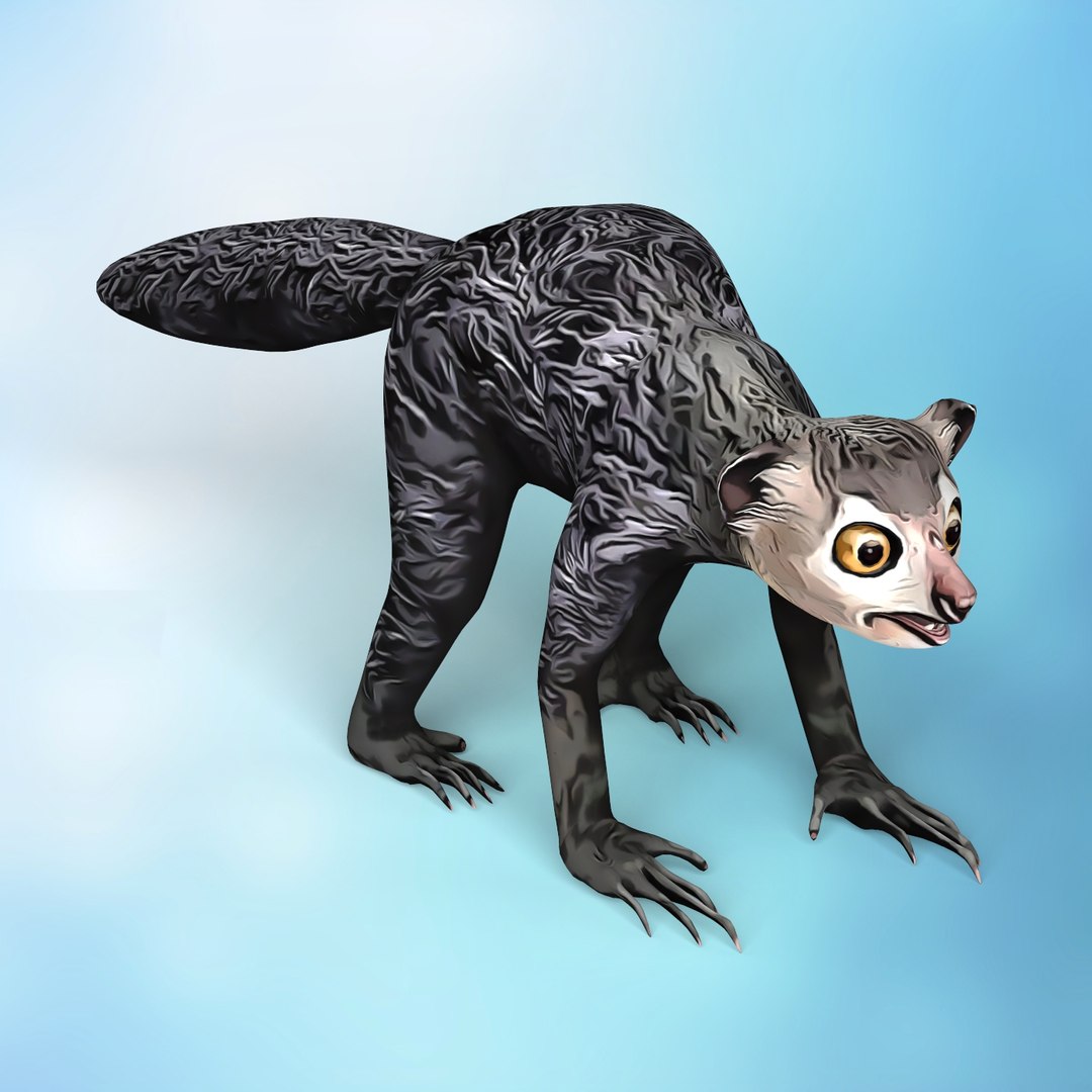 Cartoon aye 3D model - TurboSquid 1498155