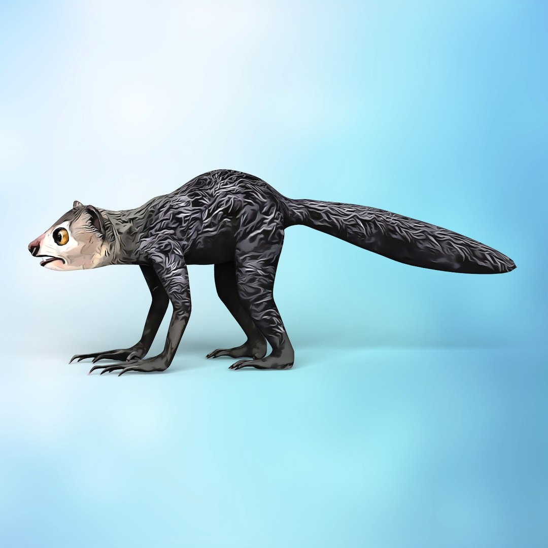 Cartoon aye 3D model - TurboSquid 1498155