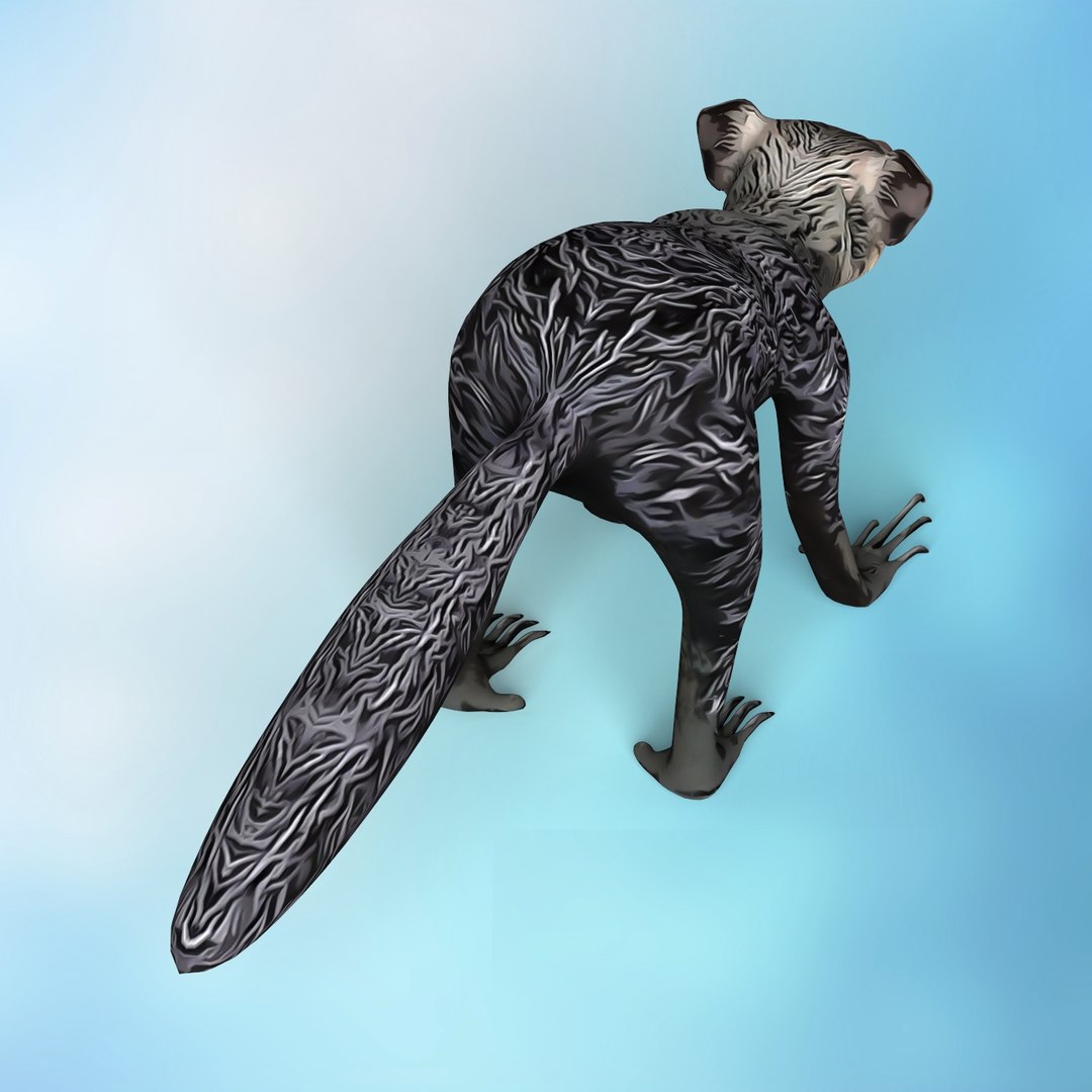 Cartoon aye 3D model - TurboSquid 1498155