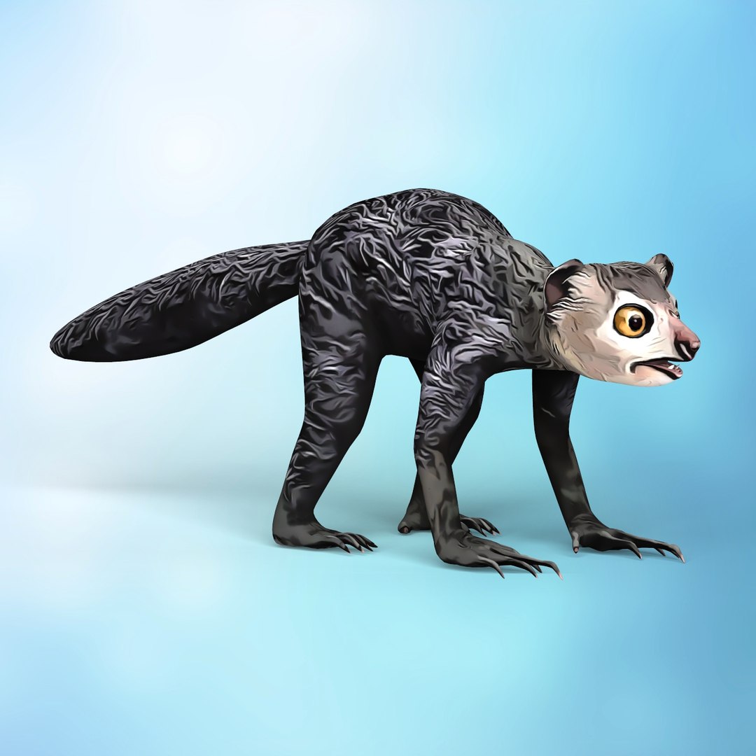 Cartoon aye 3D model - TurboSquid 1498155