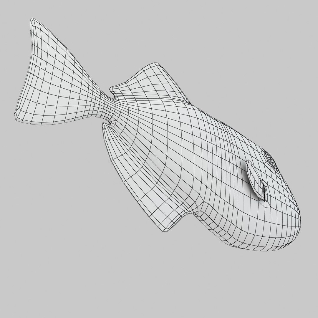Sargassum Triggerfish 3d Model