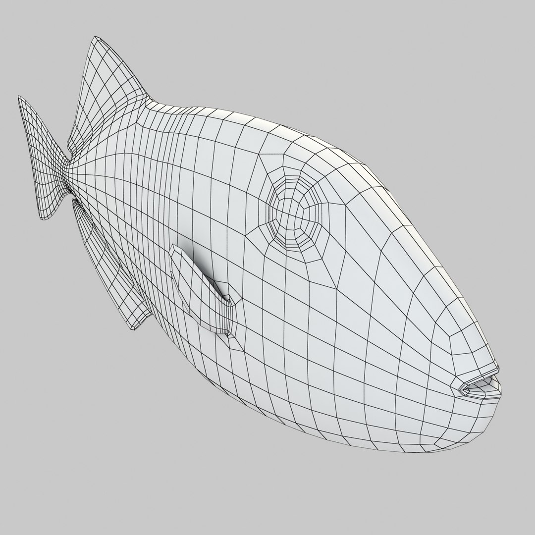 Sargassum Triggerfish 3d Model