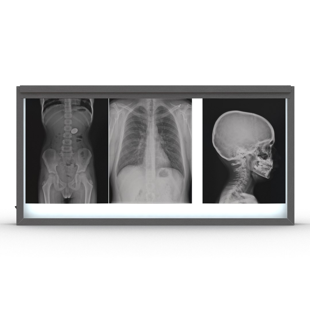 3d model xray light box x