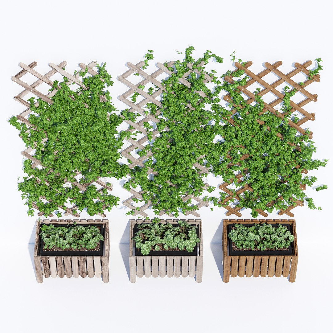 Askholmen Trellis Model - TurboSquid 1352722