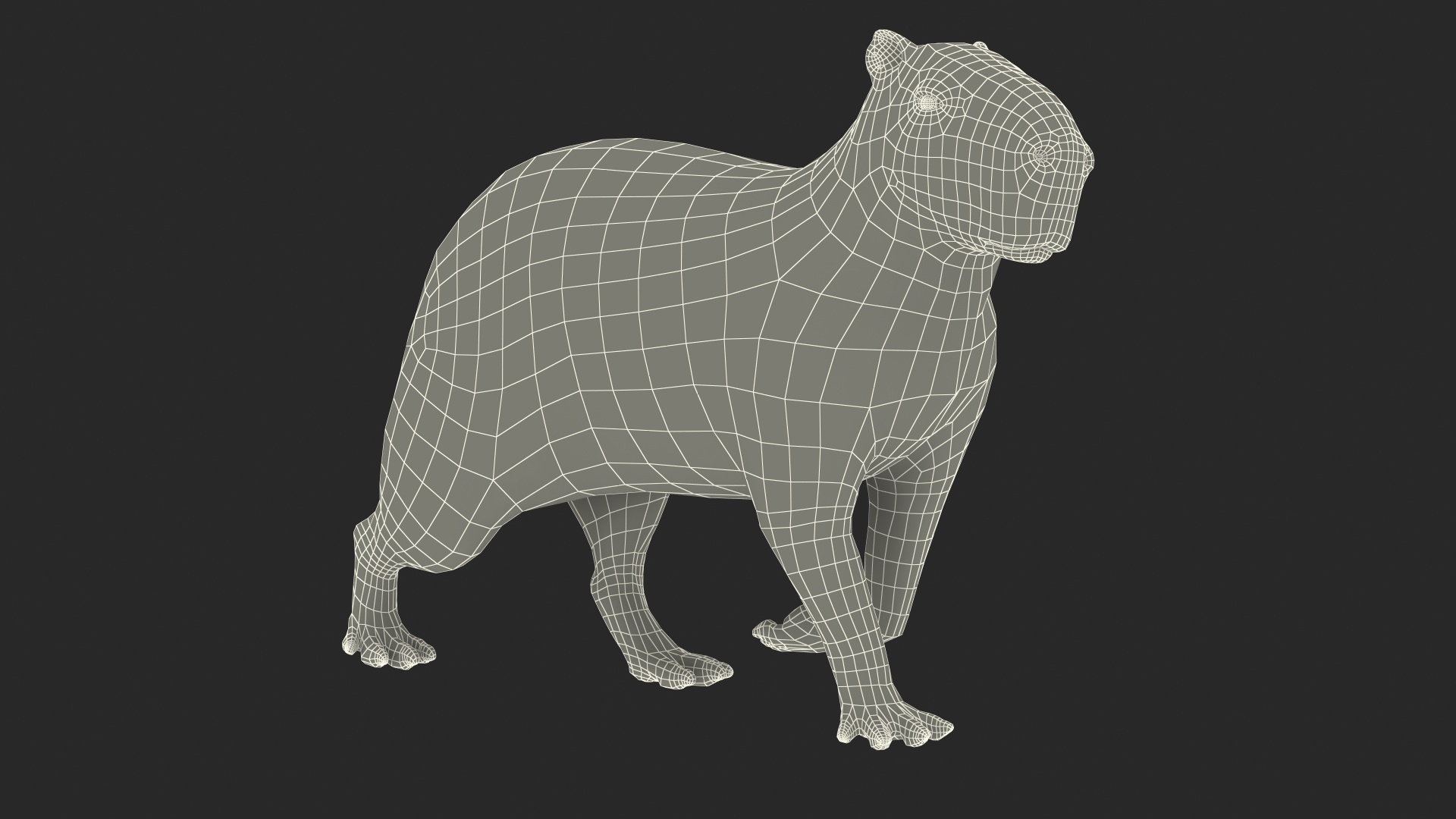 3D Capybara Walking Pose - TurboSquid 1943501