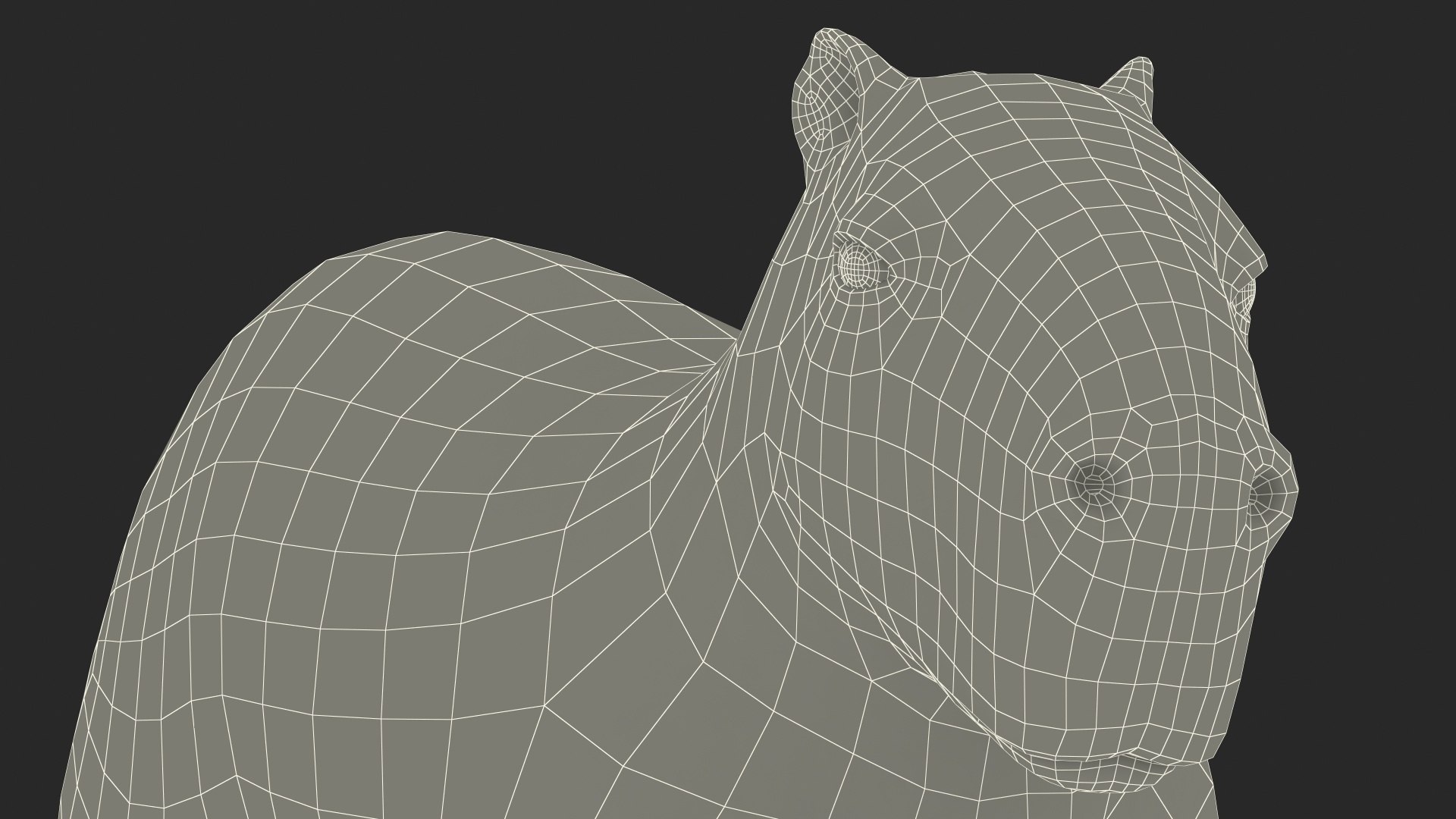 3D Capybara Walking Pose - TurboSquid 1943501