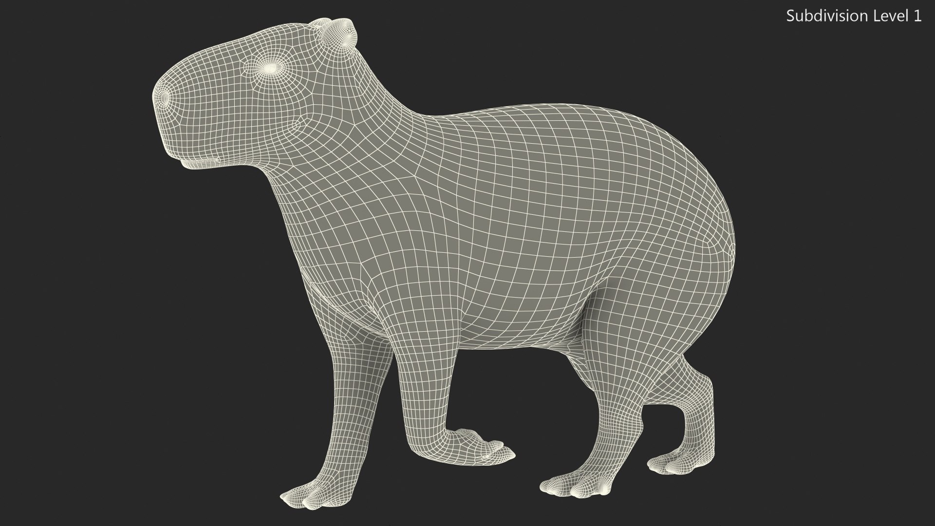 3D Capybara Walking Pose - TurboSquid 1943501