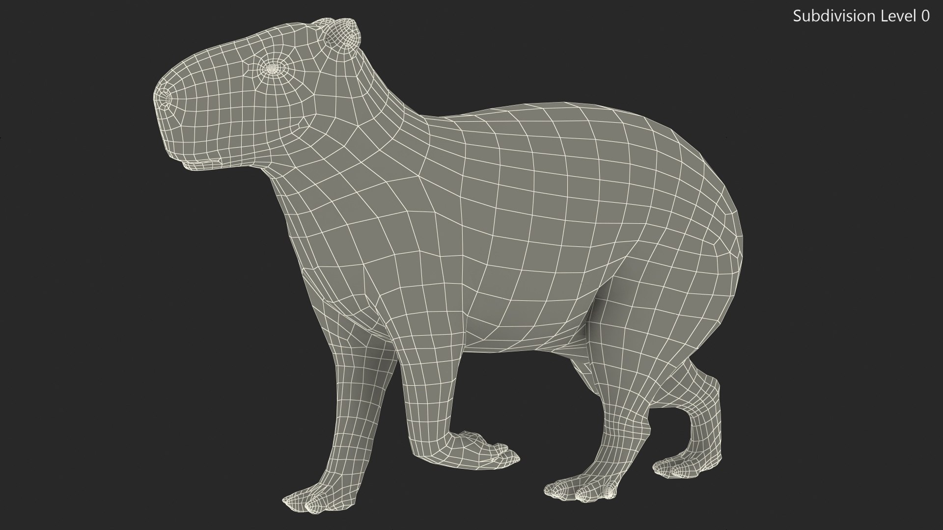 3D Capybara Walking Pose - TurboSquid 1943501