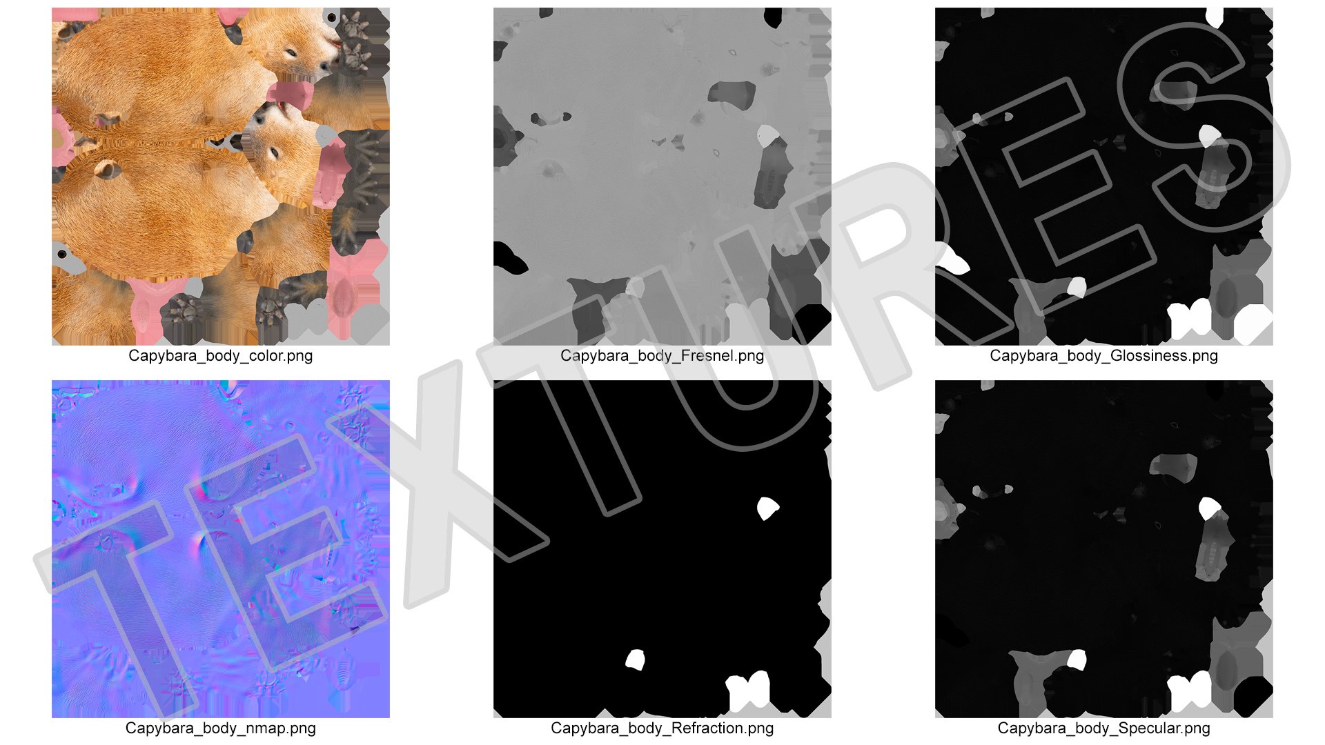 3D Capybara Walking Pose - TurboSquid 1943501