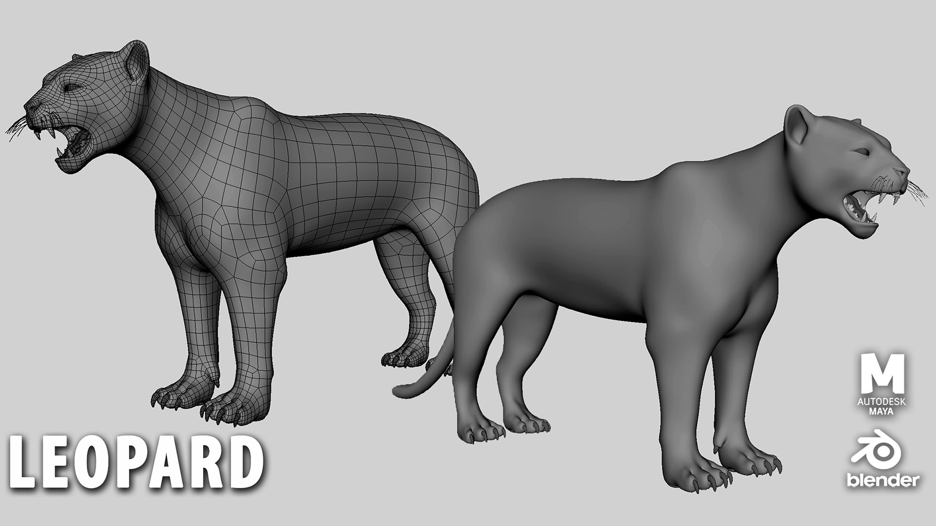 Leopard Basemesh 3D - TurboSquid 2238220