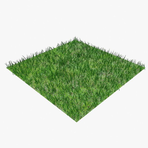 grass 03 c 3d model