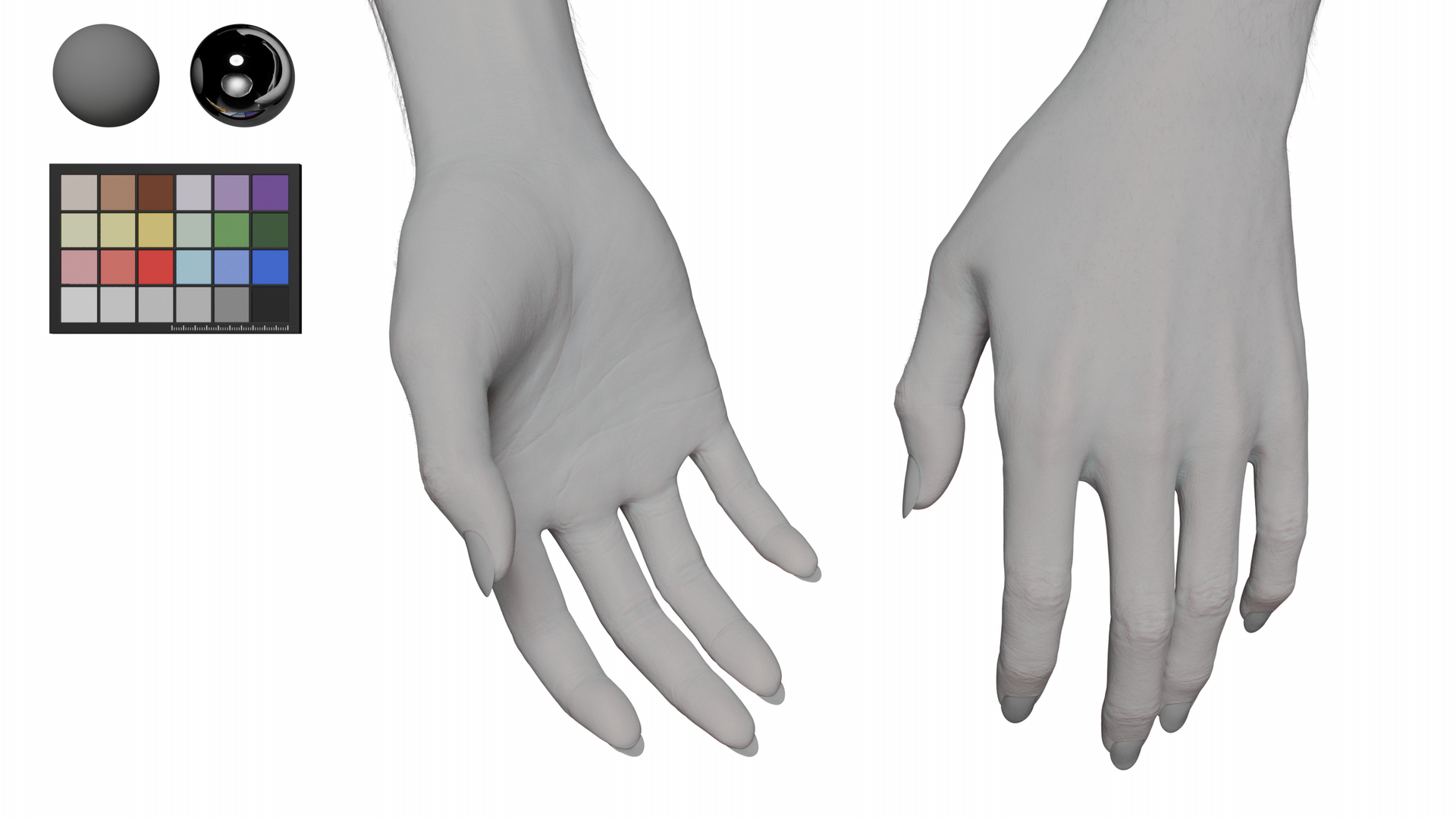 3D Customizable Realistic Female Arms Model - TurboSquid 2372176