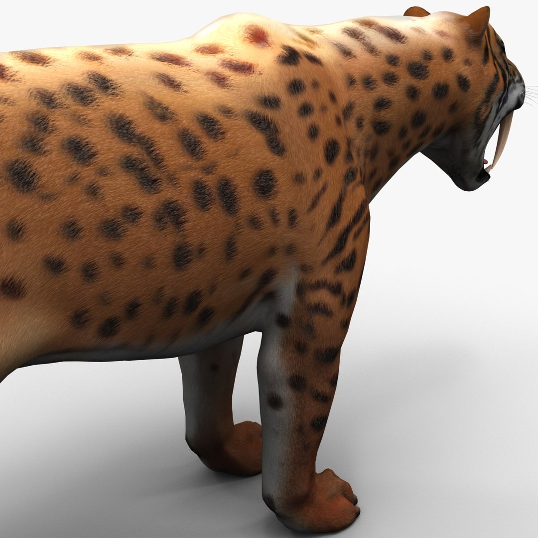 3d Model Smilodon 2 Rigged