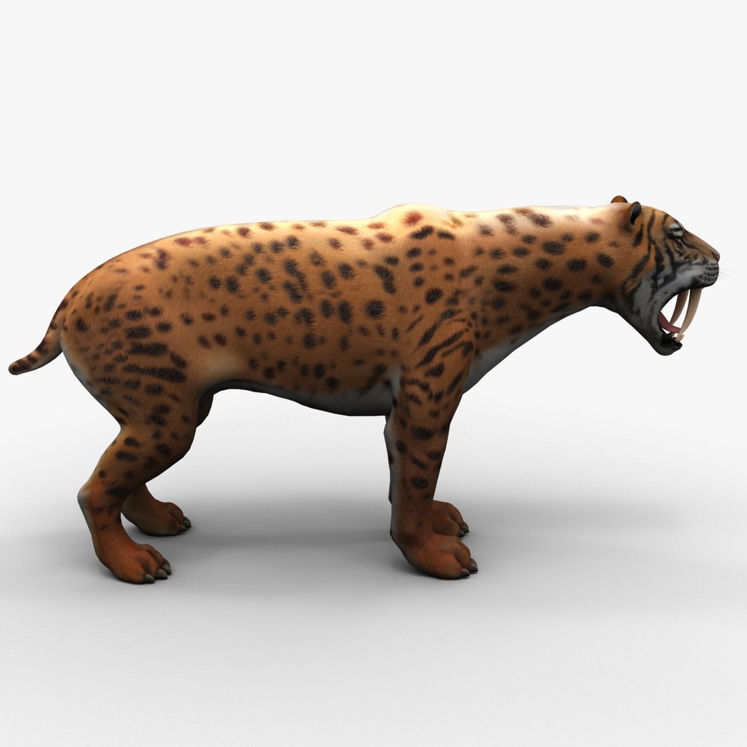 3d Model Smilodon 2 Rigged