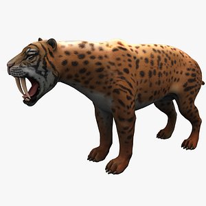 3D Smilodon Models | TurboSquid
