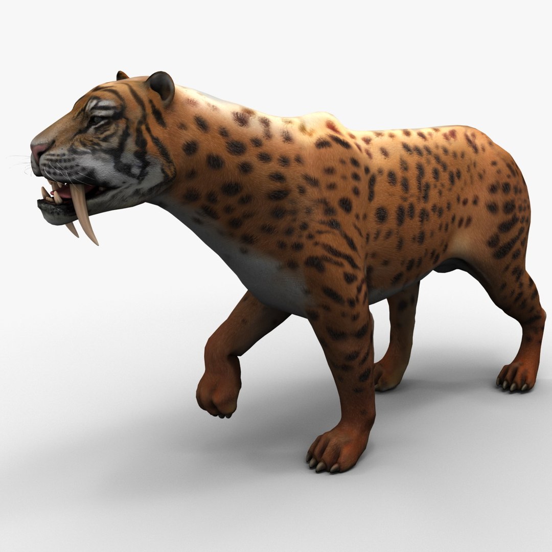 3d Model Smilodon 2 Rigged