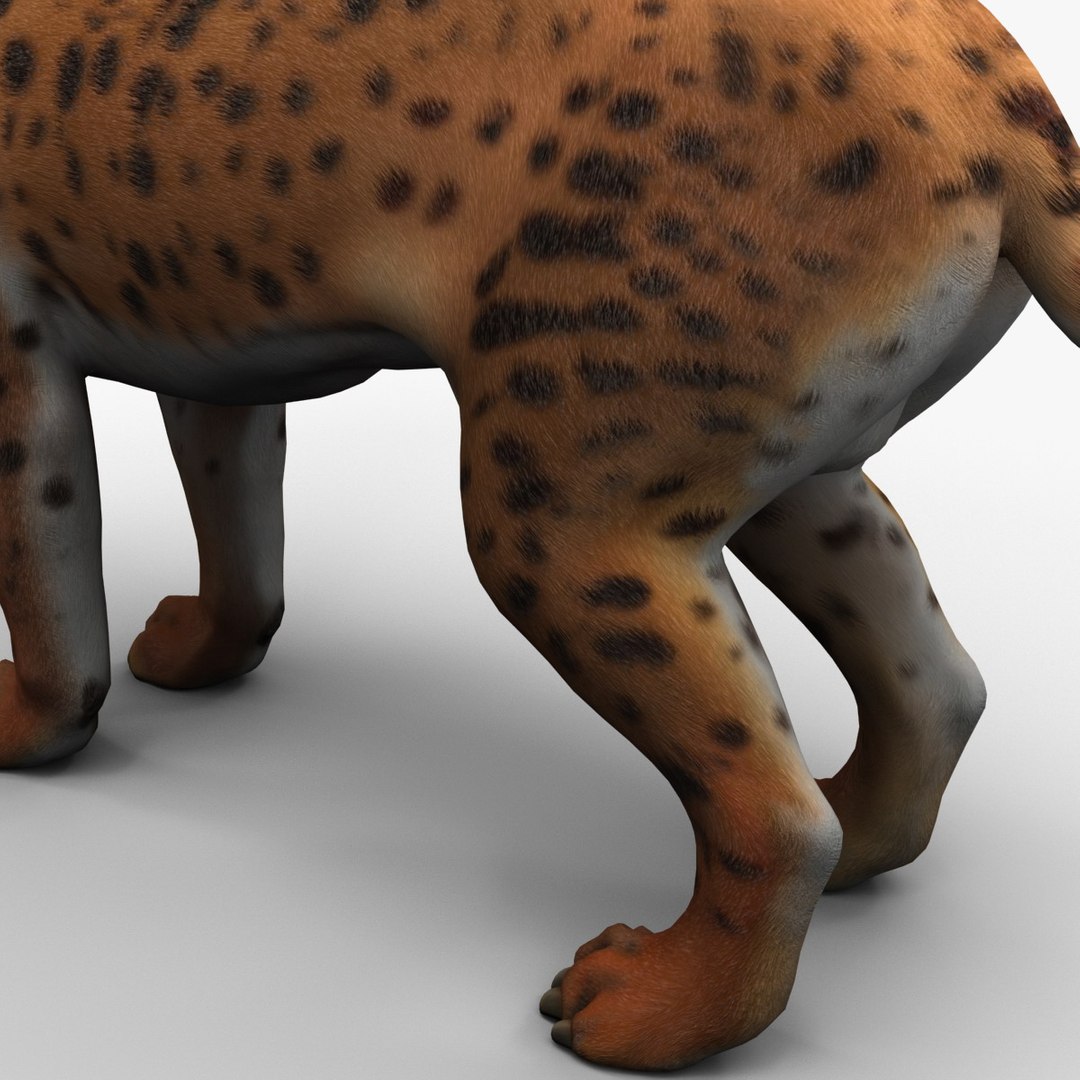 3d Model Smilodon 2 Rigged