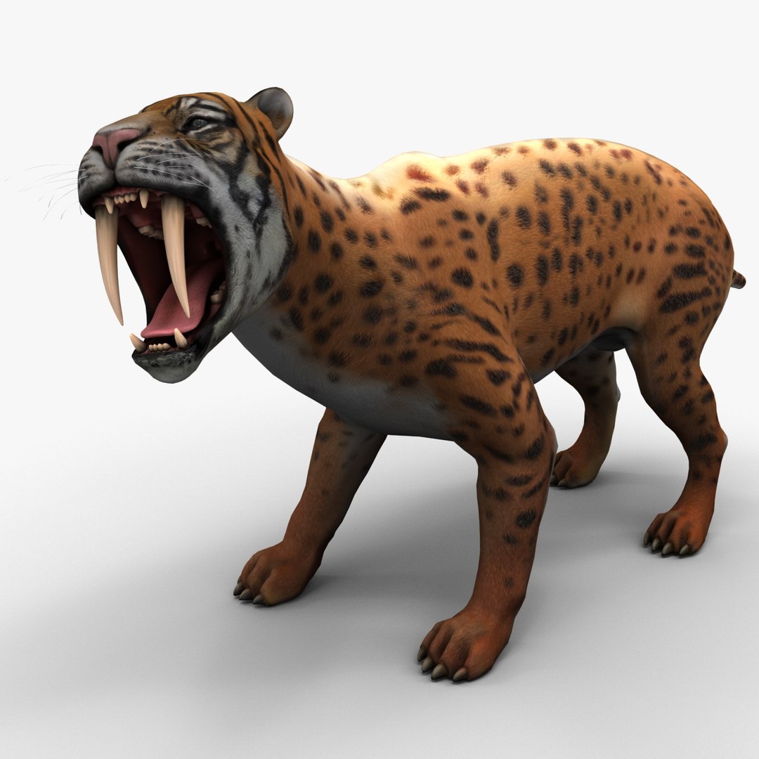 3d Model Smilodon 2 Rigged