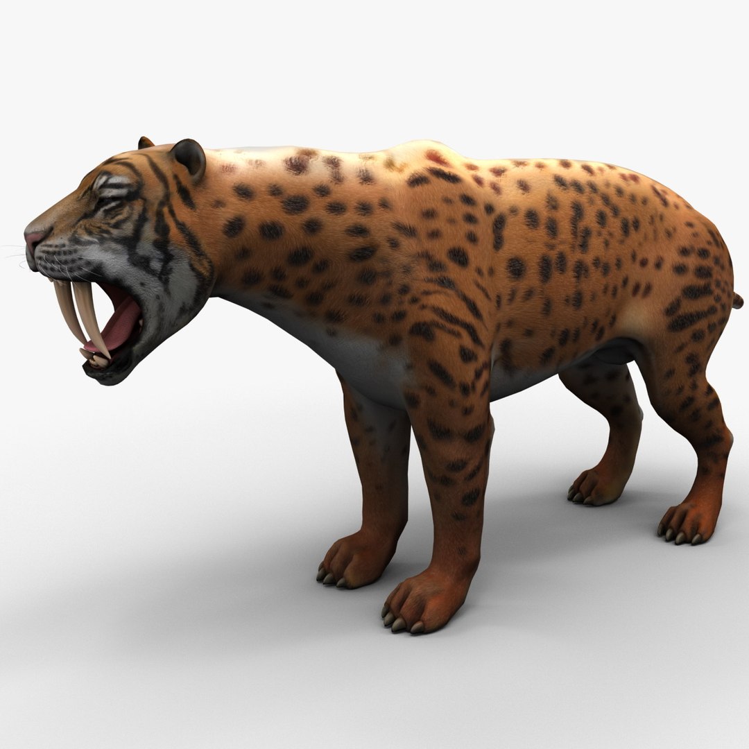 3d Model Smilodon 2 Rigged